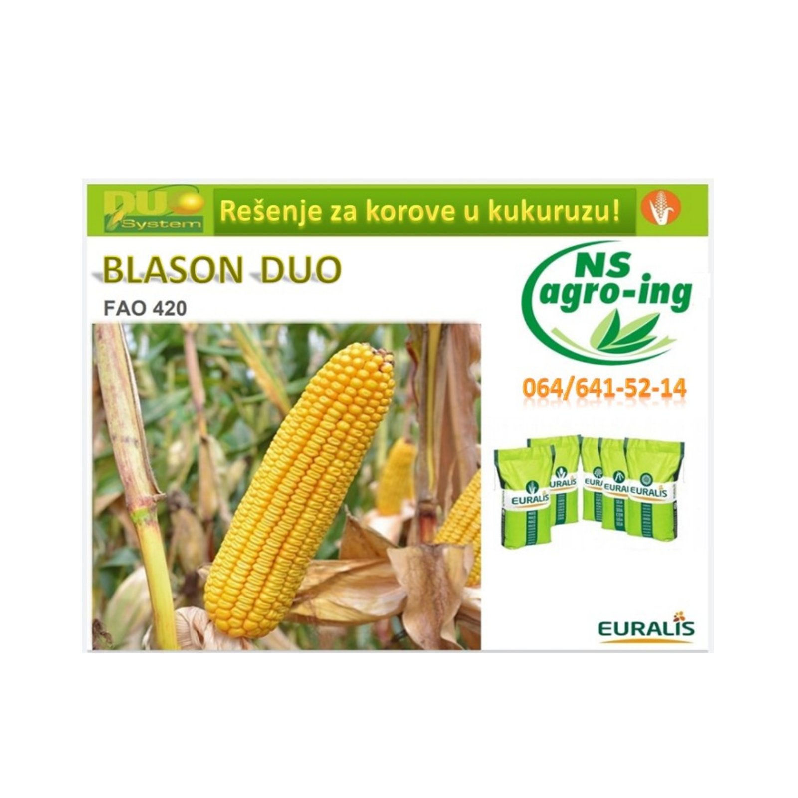 Hibrid kukuruza ES BLASON DUO - NSAGRO-ING D.O.O.