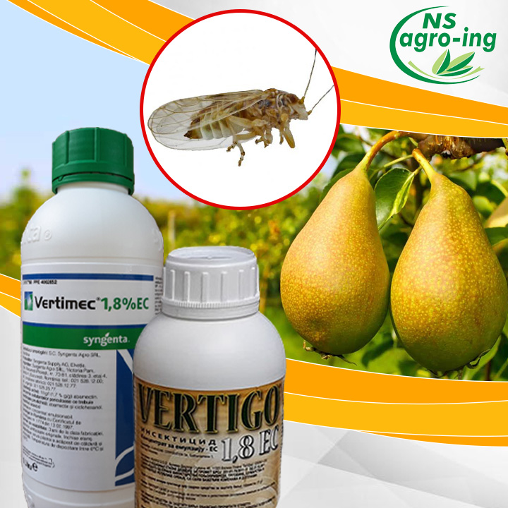 Suzbijanje kruškine buve - NSAGRO-ING D.O.O.